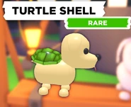 Turtle Shell | Adopt Me! Wiki | Fandom