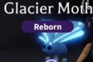 Glacier Moth | Adopt Me! Wiki | Fandom