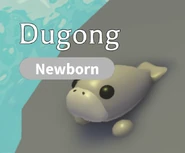 Dugong | Adopt Me! Wiki | Fandom
