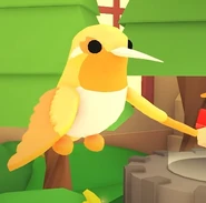 Golden Hummingbird | Adopt Me! Wiki | Fandom