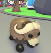 Musk Ox | Adopt Me! Wiki | Fandom