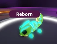 Chameleon | Adopt Me! Wiki | Fandom