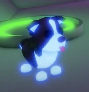 Border Collie | Adopt Me! Wiki | Fandom