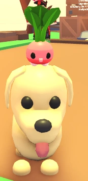 Radish Friend | Adopt Me! Wiki | Fandom