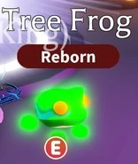 Tree Frog | Adopt Me! Wiki | Fandom