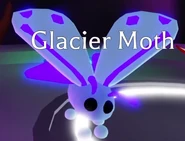 Glacier Moth | Adopt Me! Wiki | Fandom