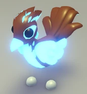 Roadrunner | Adopt Me! Wiki | Fandom