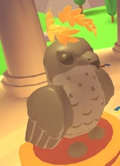 Peregrine Falcon | Adopt Me! Wiki | Fandom