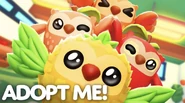 Apple Owl | Adopt Me! Wiki | Fandom