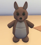 Kangaroo | Adopt Me! Wiki | Fandom