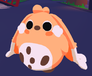 Cabbit | Adopt Me! Wiki | Fandom