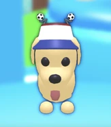 Netherlands Bucket Hat | Adopt Me! Wiki | Fandom
