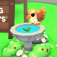 Wren | Adopt Me! Wiki | Fandom