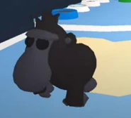 Black Macaque | Adopt Me! Wiki | Fandom