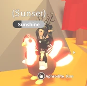 Turkey | Adopt Me! Wiki | Fandom