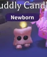 Cuddly Candle | Adopt Me! Wiki | Fandom