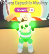 Inmate Capuchin Monkey (Pet) | Adopt Me! Wiki | Fandom