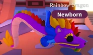 Rainbow Dragon | Adopt Me! Wiki | Fandom