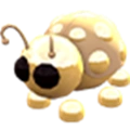 Golden Ladybug | Adopt Me! Wiki | Fandom