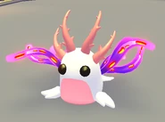 Sea Slug | Adopt Me! Wiki | Fandom