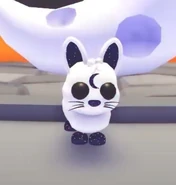 Moon Rabbit | Adopt Me! Wiki | Fandom