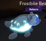 Frostbite Bear | Adopt Me! Wiki | Fandom