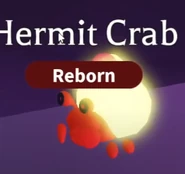 Hermit Crab | Adopt Me! Wiki | Fandom