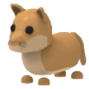 Puma | Adopt Me! Wiki | Fandom