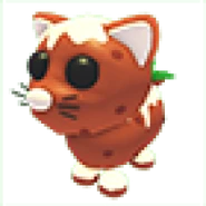 Pudding Cat | Adopt Me! Wiki | Fandom