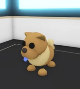 Tan Chow-Chow | Adopt Me! Wiki | Fandom