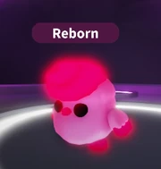 Candyfloss Chick | Adopt Me! Wiki | Fandom