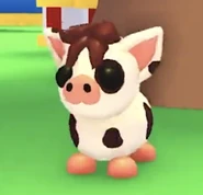 Mini Pig | Adopt Me! Wiki | Fandom