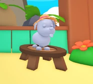 Summer Straw Hat | Adopt Me! Wiki | Fandom