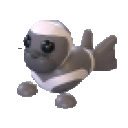 Foca franjeada | Adopt Me! Wiki | Fandom