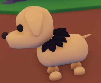 Raven Collar | Adopt Me! Wiki | Fandom