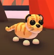 Liger | Adopt Me! Wiki | Fandom