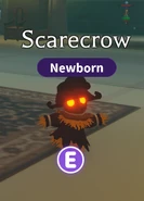 Scarecrow | Adopt Me! Wiki | Fandom