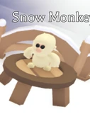 Snow Monkey | Adopt Me! Wiki | Fandom