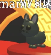 Amami Rabbit | Adopt Me! Wiki | Fandom