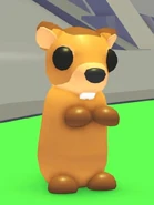 Groundhog | Adopt Me! Wiki | Fandom