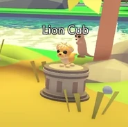 Lion Cub | Adopt Me! Wiki | Fandom