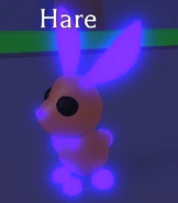 Hare | Adopt Me! Wiki | Fandom