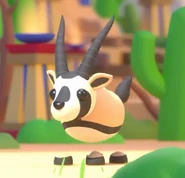 Oryx | Adopt Me! Wiki | Fandom