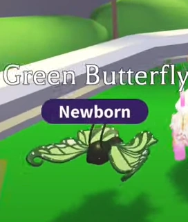Green Butterfly | Adopt Me! Wiki | Fandom