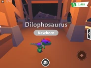 Dilophosaurus | Adopt Me! Wiki | Fandom