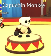 Capuchin Monkey | Adopt Me! Wiki | Fandom