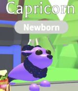 Capricorn | Adopt Me! Wiki | Fandom