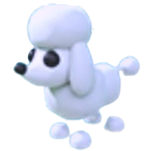Poodle | Adopt Me! Wiki | Fandom
