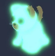 Ghostly Cat | Adopt Me! Wiki | Fandom