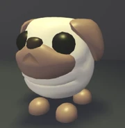 Snowball Pug | Adopt Me! Wiki | Fandom
